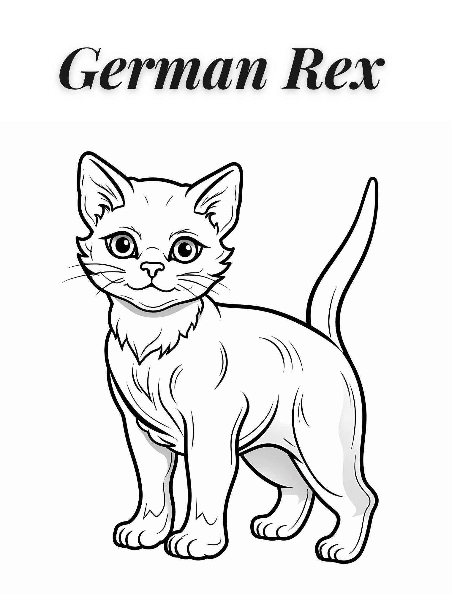 10 Enchanting Cats Coloring Pages, Printable Coloring Page, Printable ...