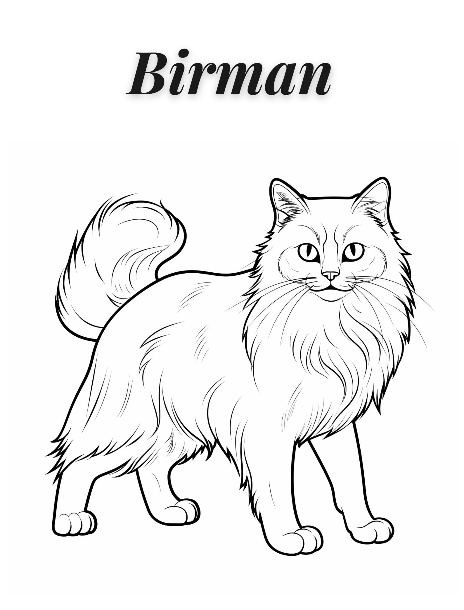 10 Enchanting Cats Coloring Pages, Printable Coloring Page, Printable ...
