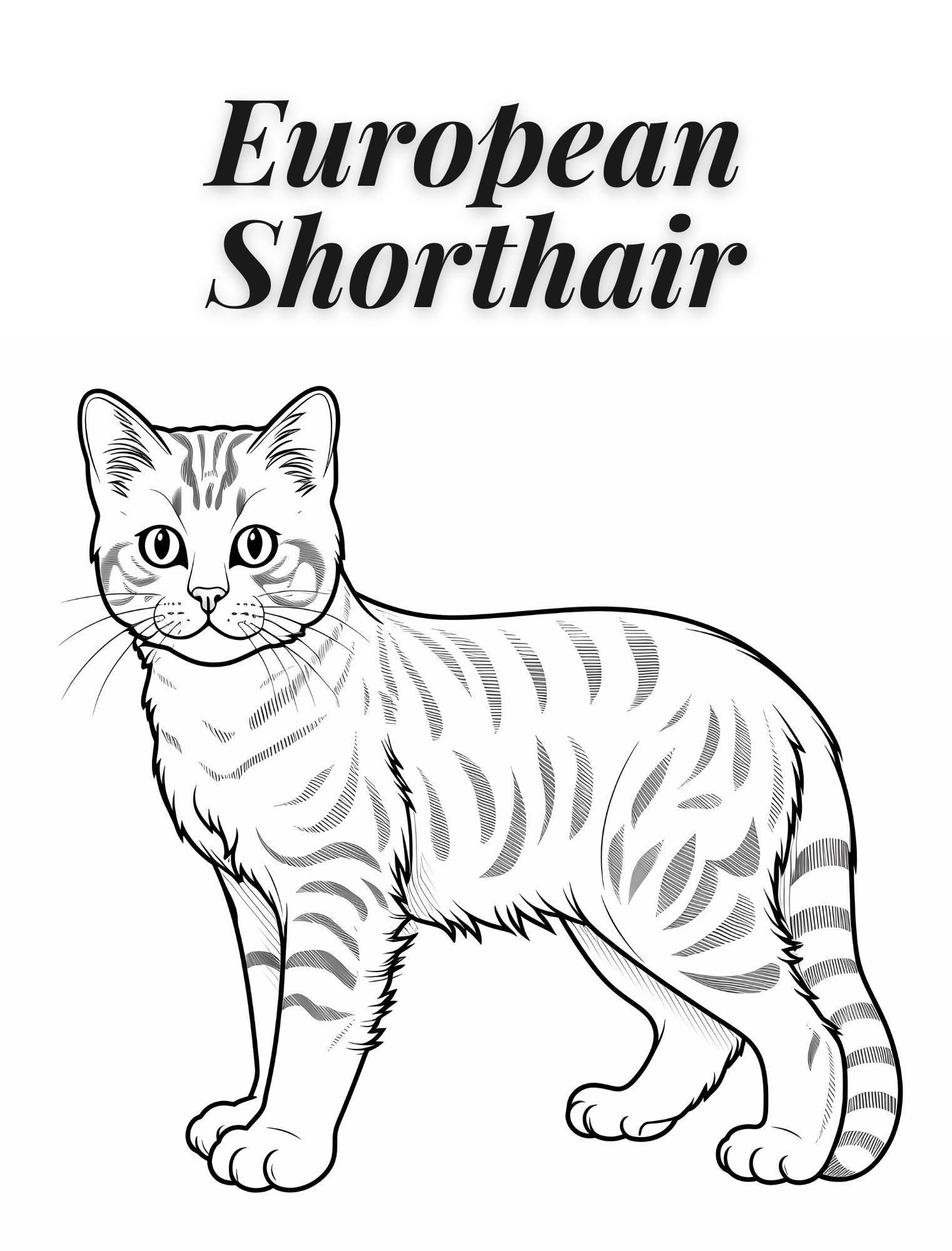 10 Enchanting Cats Coloring Pages, Printable Coloring Page, Printable ...