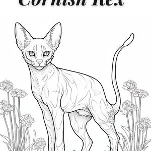 10 Enchanting Cats Coloring Pages, Printable Coloring Page, Printable ...