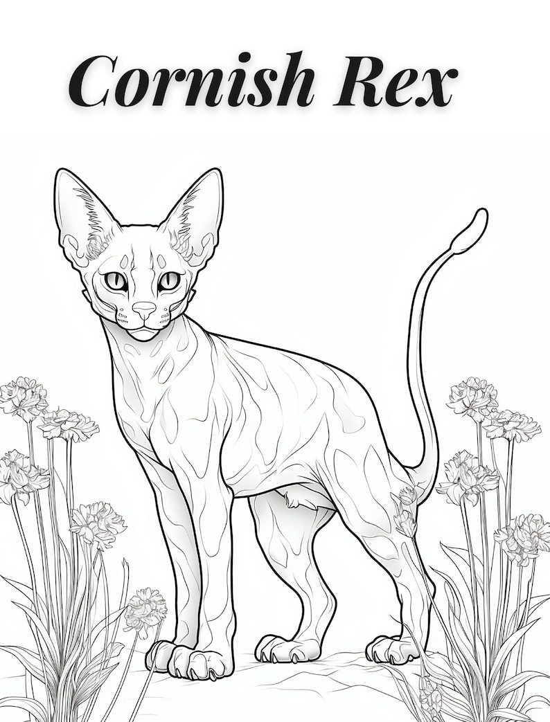10 Enchanting Cats Coloring Pages, Printable Coloring Page, Printable ...