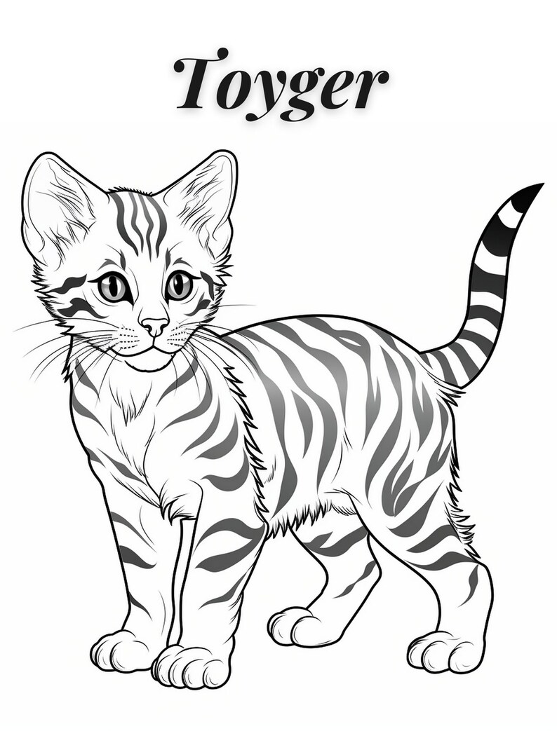 10 Enchanting Cats Coloring Pages, Printable Coloring Page, Printable ...