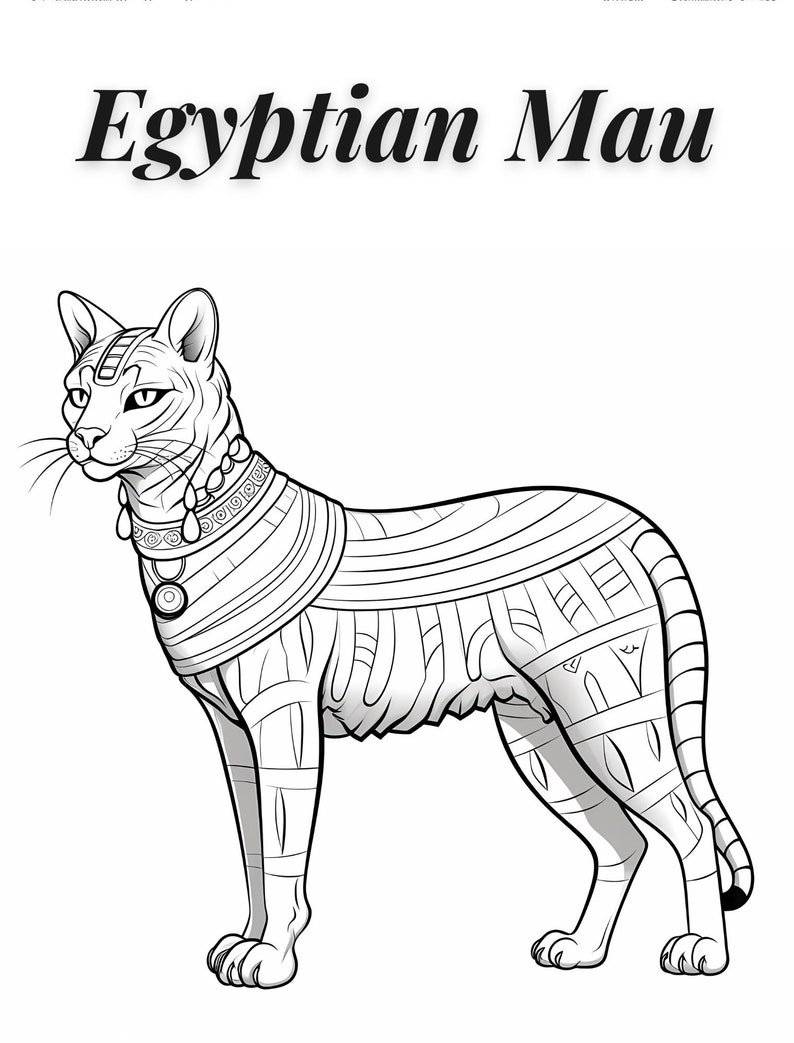 10 Enchanting Cats Coloring Pages, Printable Coloring Page, Printable ...