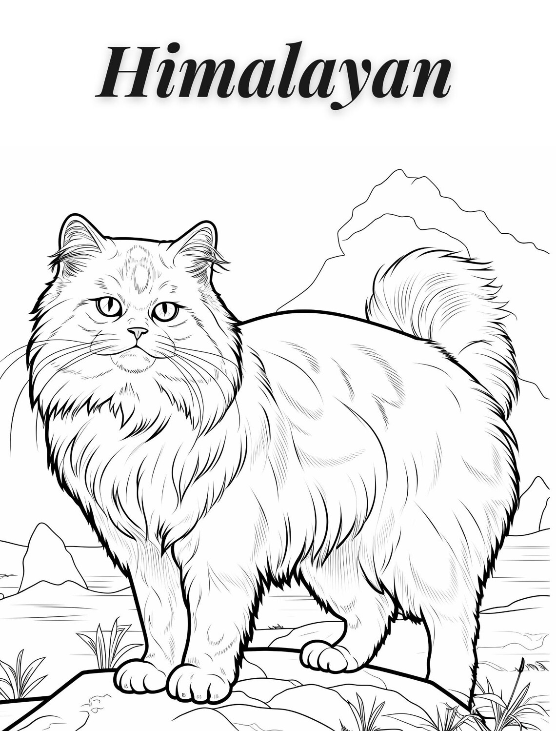 10 Enchanting Cats Coloring Pages, Printable Coloring Page, Printable ...
