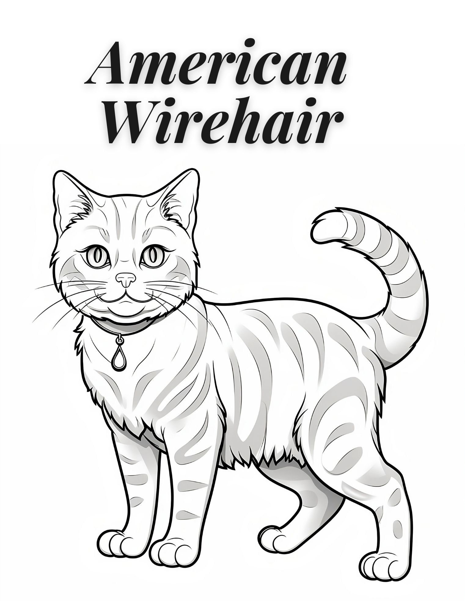 10 Enchanting Cats Coloring Pages, Printable Coloring Page, Printable ...
