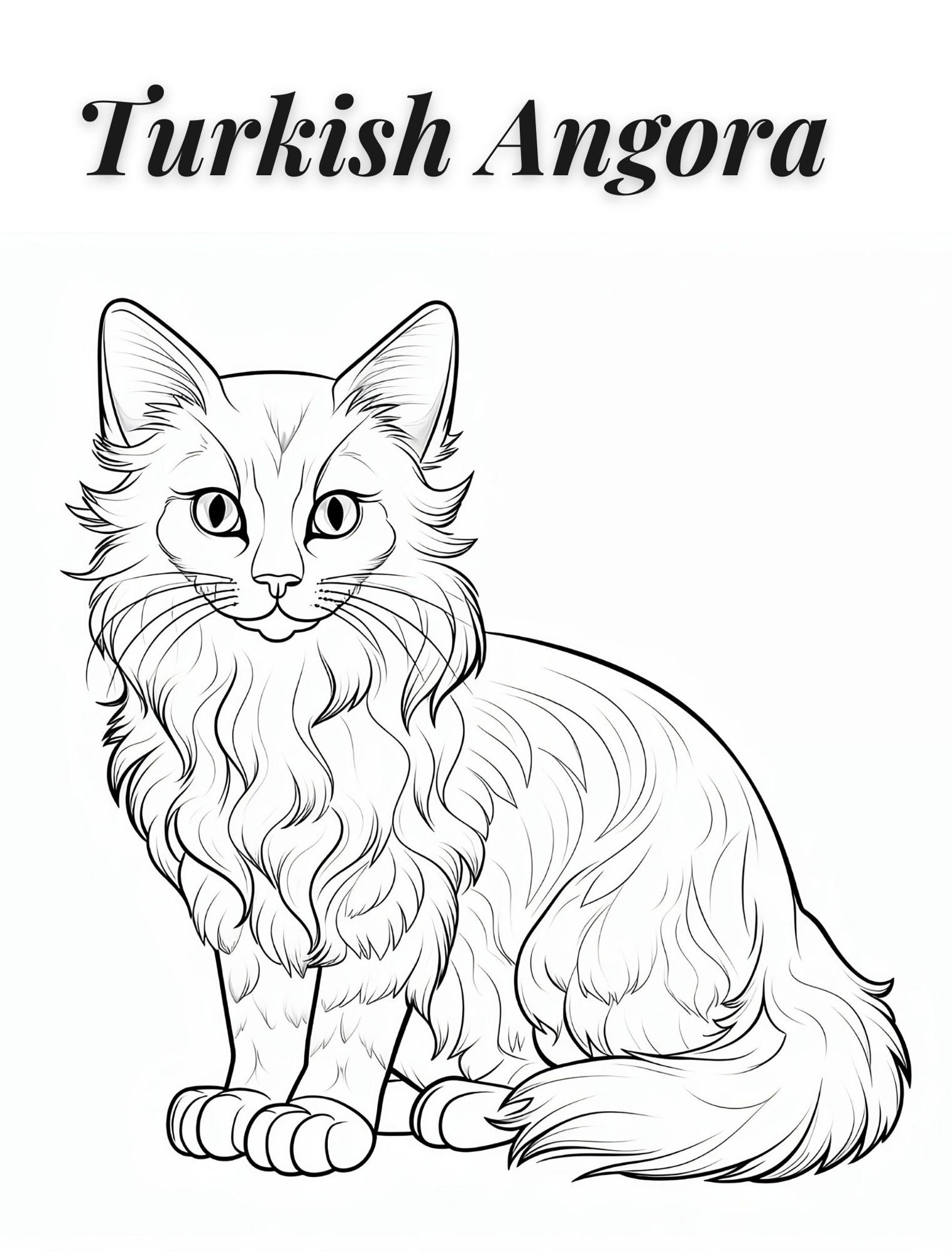 10 Enchanting Cats Coloring Pages, Printable Coloring Page, Printable ...