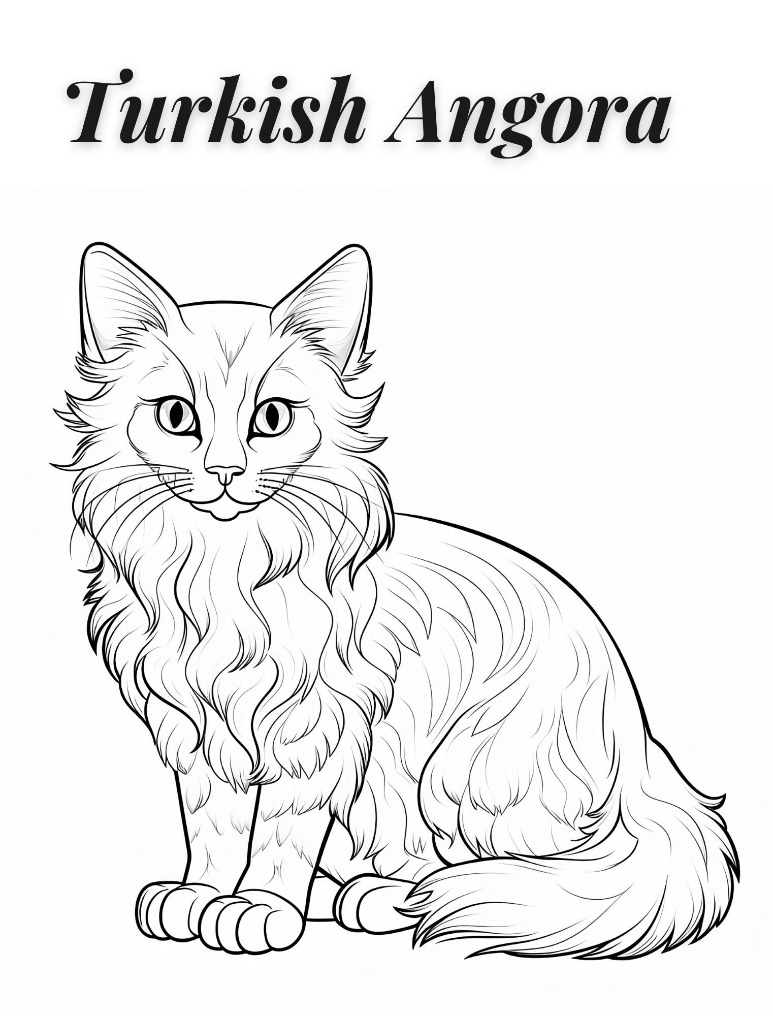 10 Enchanting Cats Coloring Pages, Printable Coloring Page, Printable ...