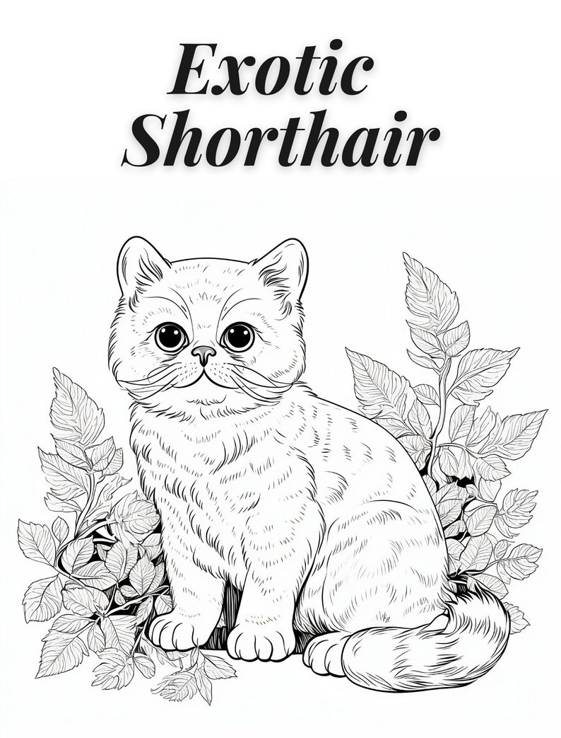 10 Enchanting Cats Coloring Pages, Printable Coloring Page, Printable ...