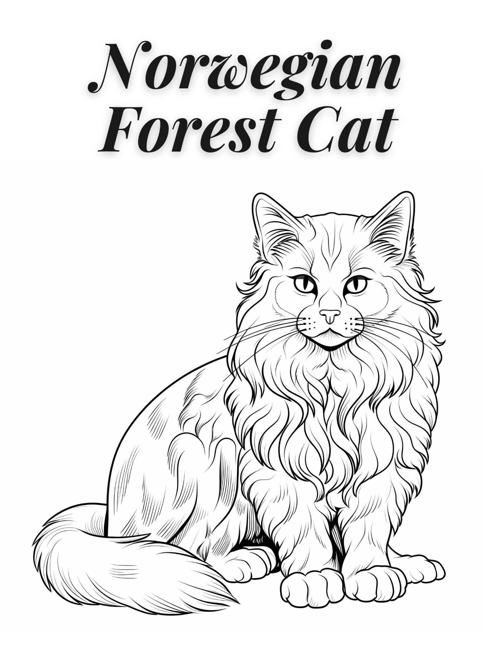 10 Enchanting Cats Coloring Pages, Printable Coloring Page, Printable ...