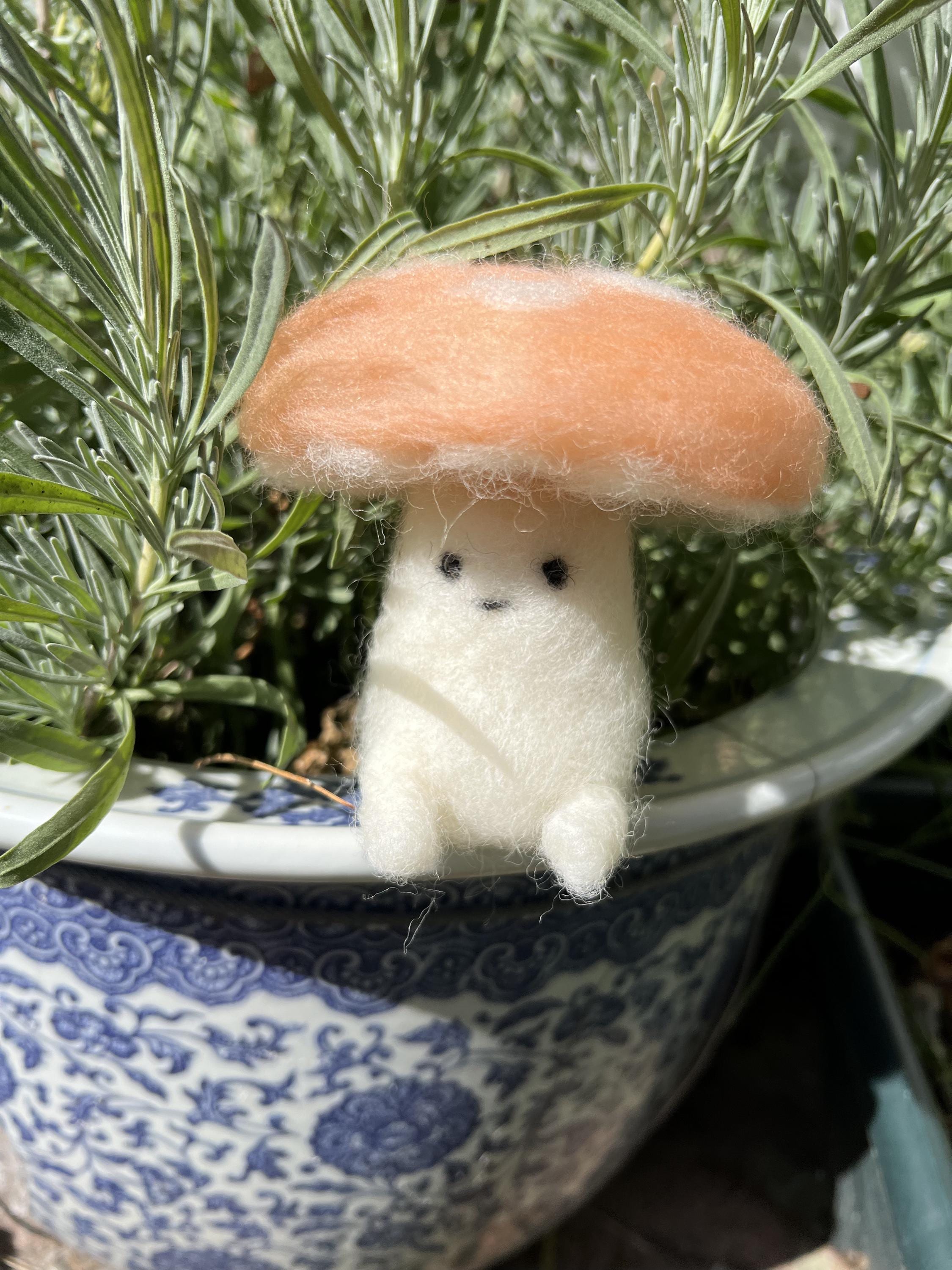 Fun-guy Plushie | Handmade Display | Needle Felted Fungi | Palia Game ...