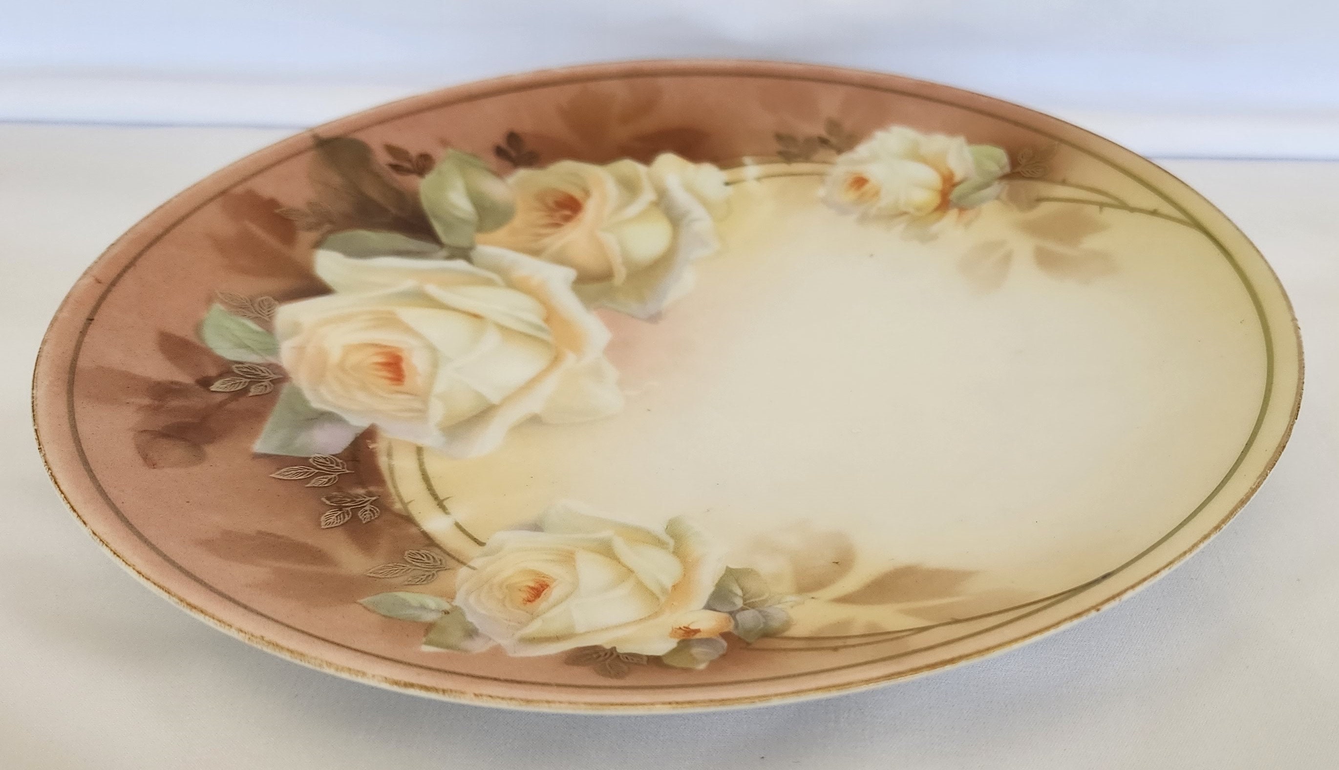 Plate RS Germany Hand Painted White Roses 8.25 Inch - Etsy