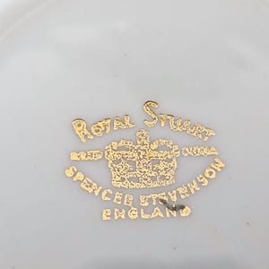 Royal Stuart Tea Cup and Saucer Floral Pattern Spencer Stevenson ...
