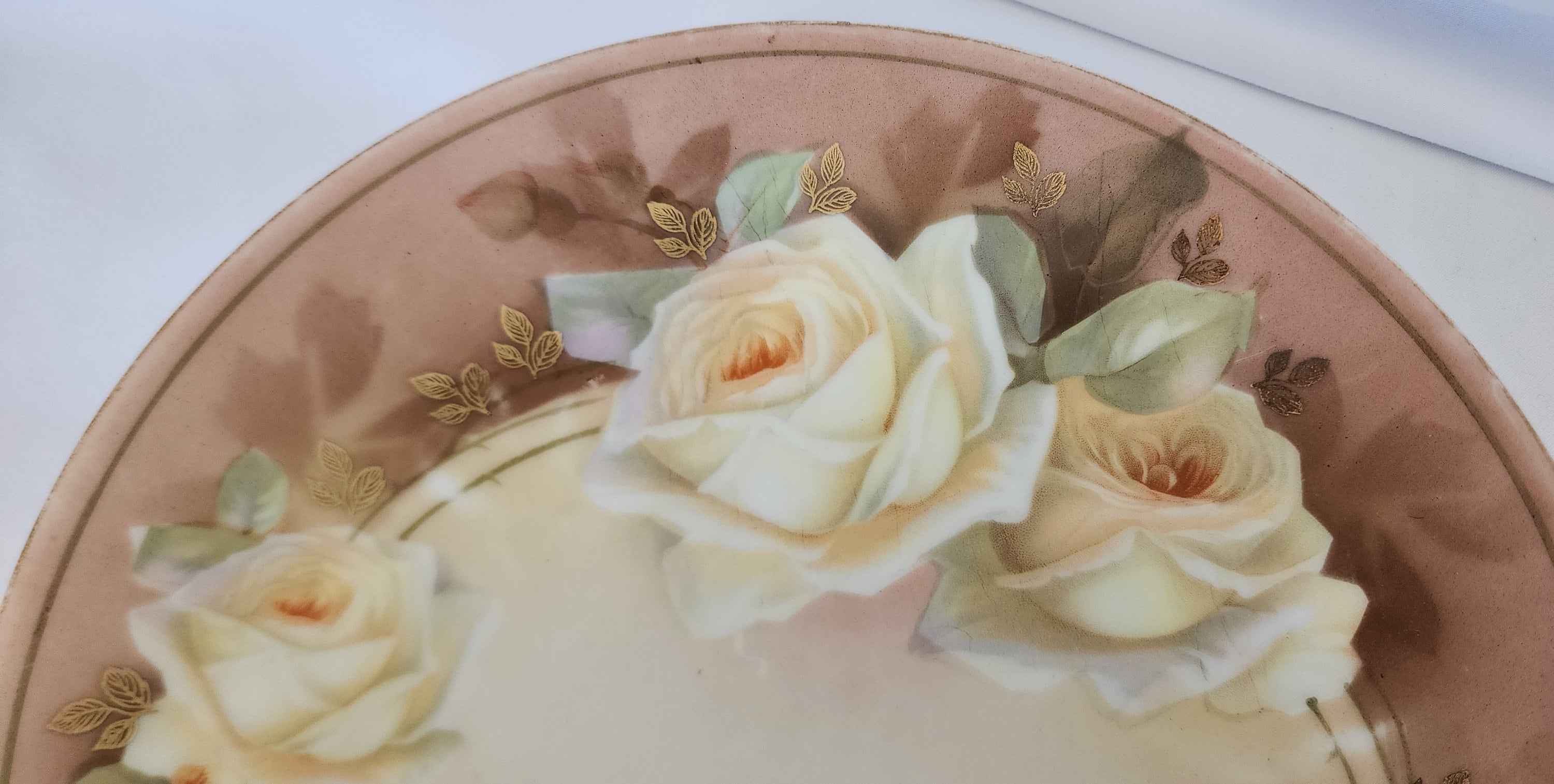 Plate RS Germany Hand Painted White Roses 8.25 Inch - Etsy