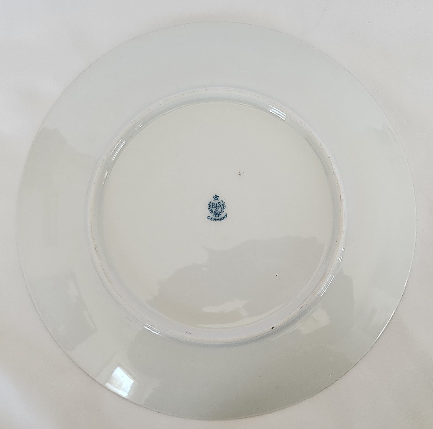 Plate RS Germany Hand Painted White Roses 8.25 Inch - Etsy