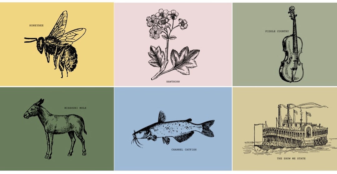 Missouri Greeting Cards: Blank Inside, Pack of 20 Cards, Honeybee ...