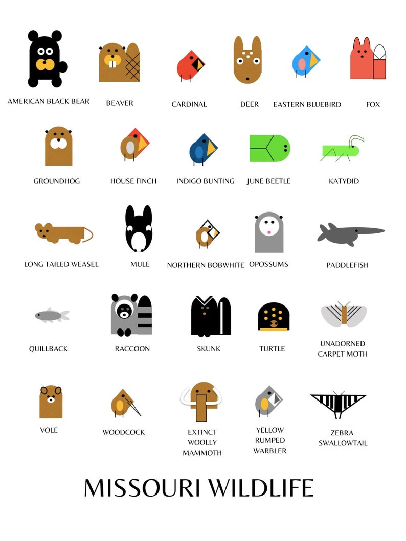 MISSOURI ANIMAL ALPHABET, Missouri Wildlife, Fish, Animals, Insects ...