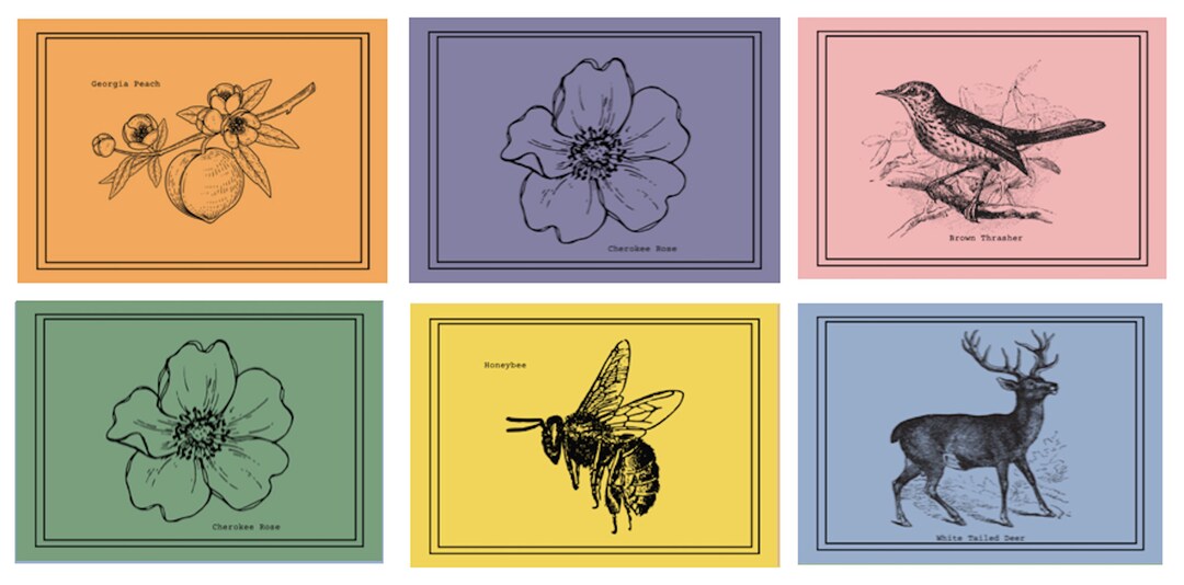 10 Georgia Greeting Cards: Blank Inside - Etsy