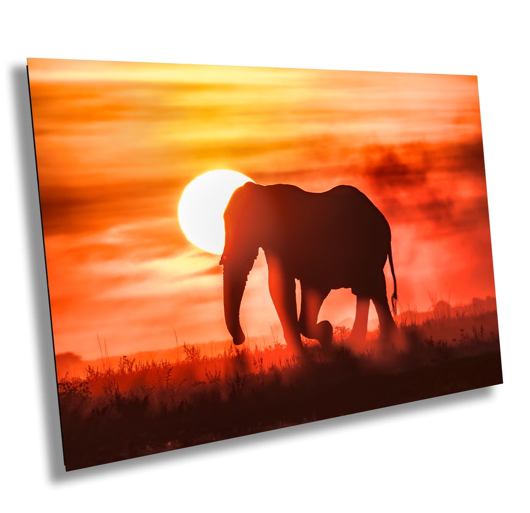 African Elephant Sunset Canvas Art: Wildlife Photography Print - Etsy
