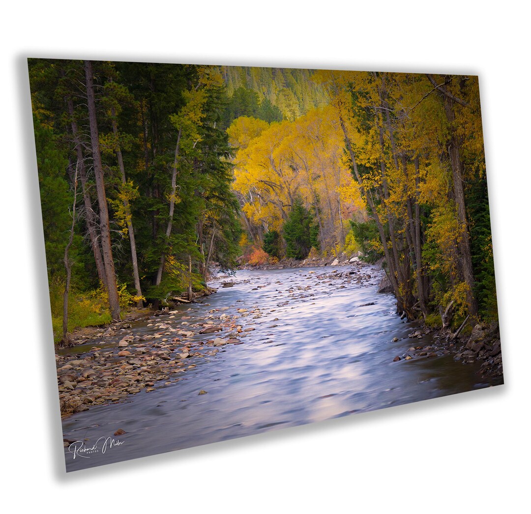 Carbonate Creek Fall Photograph: Aspen Colorado Canvas Wall Art - Etsy