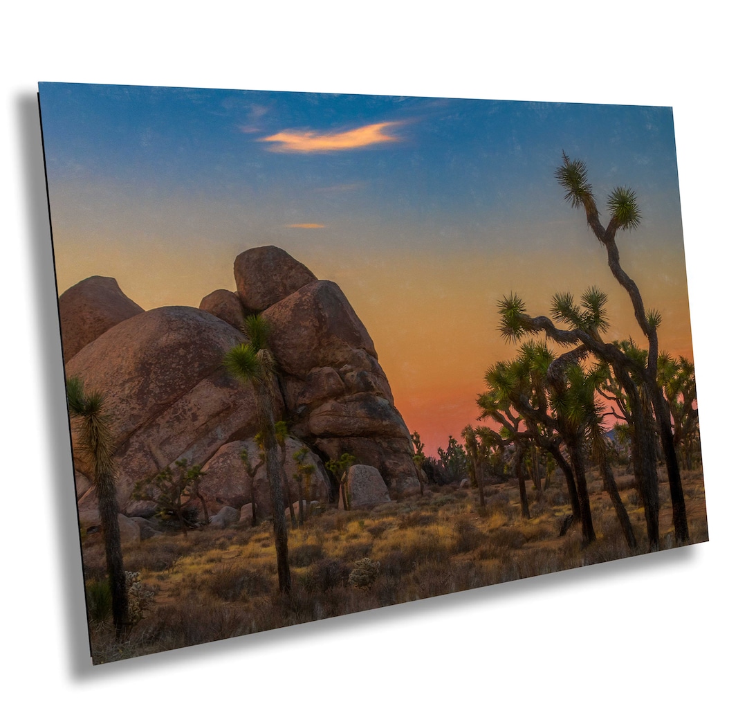 Joshua Tree Sunset Photography: National Park Canvas Wall Art - Etsy