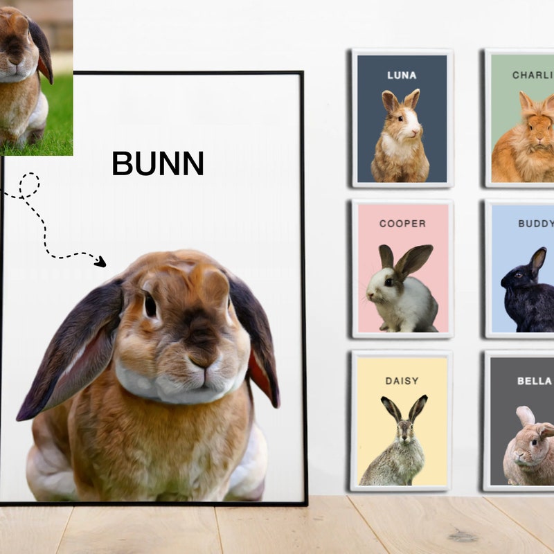 Rabbit Lover Gift - 60+ Gift Ideas for 2025