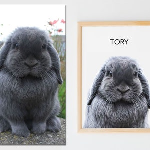 Custom Rabbit Portrait From Photo Rabbit Painting Pet Rabbit Lover Gift ...