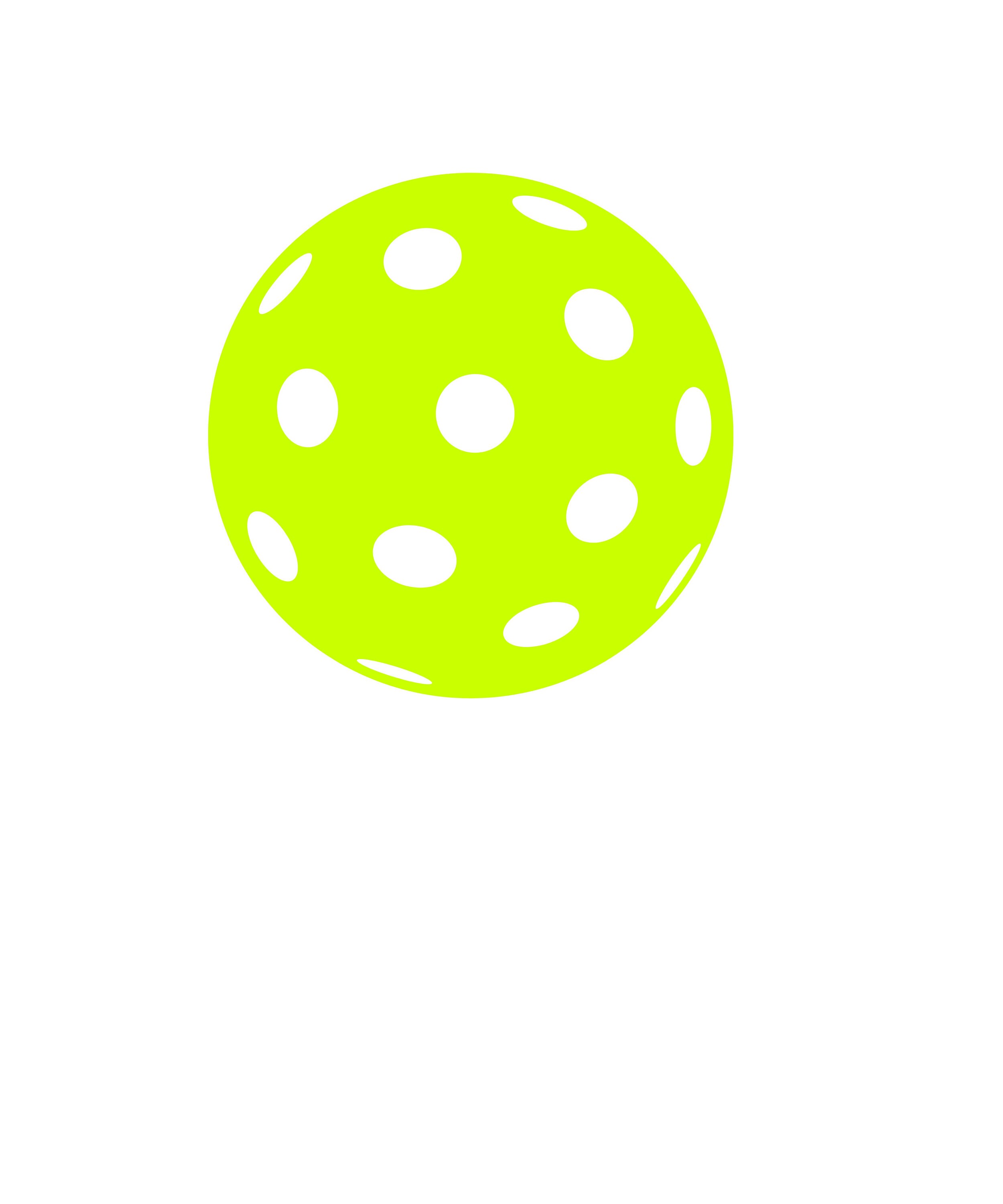 Pickel Ball SVG Bundle Instant Download 6 Files, 1 Zip File, Pickle ...