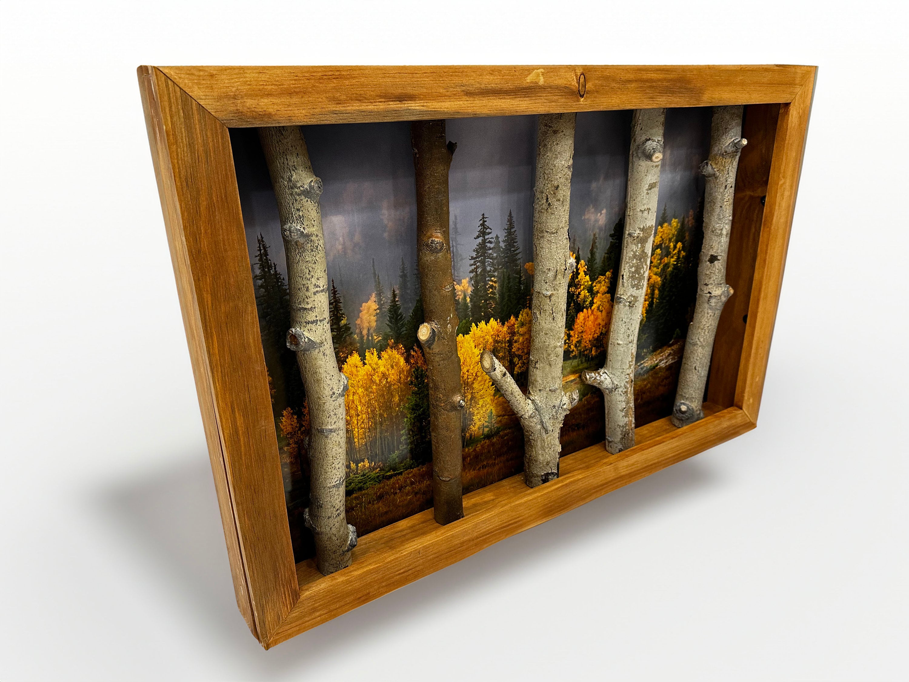 Rustic Decor, Aspen Trees Lighted Wall Hanging, Real Aspen Boughs From ...