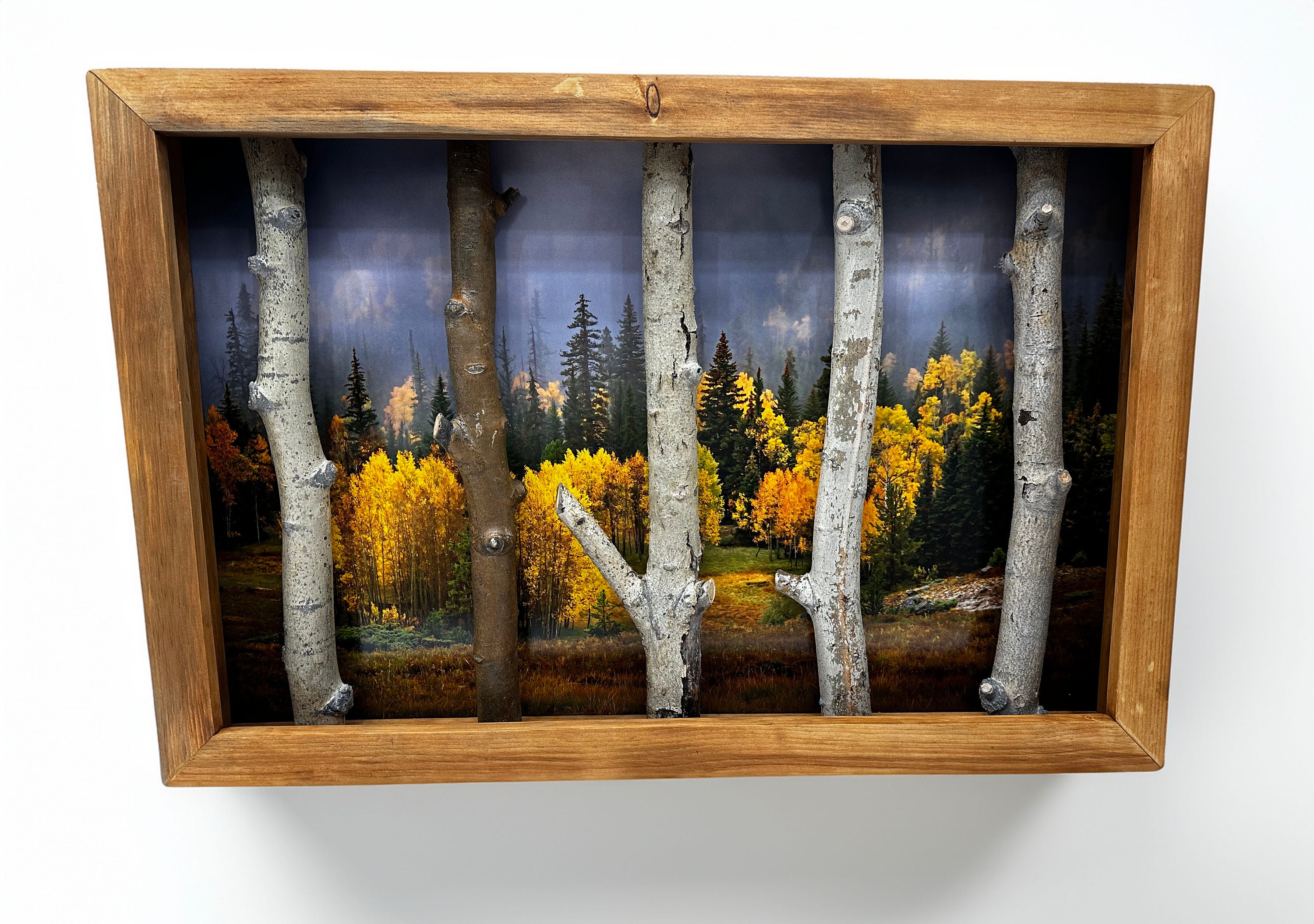 Illuminate Your Space With LED Wall Hanging Made From Real Aspen ...