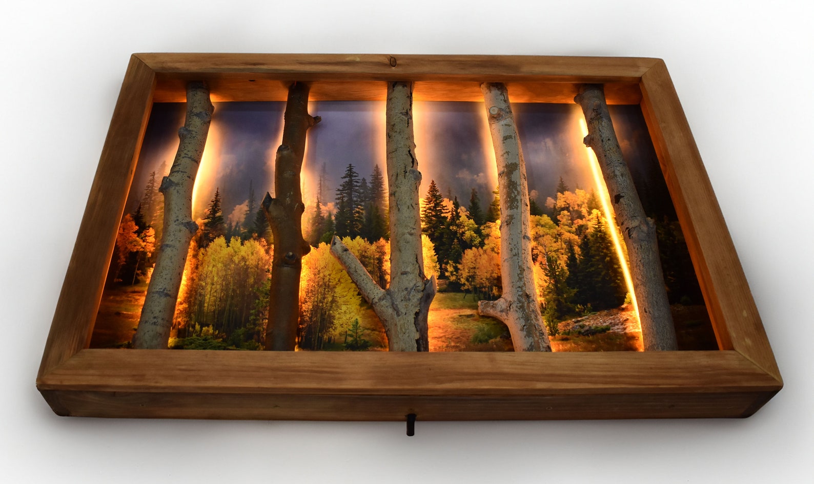 Illuminate Your Space With LED Wall Hanging Made From Real Aspen ...