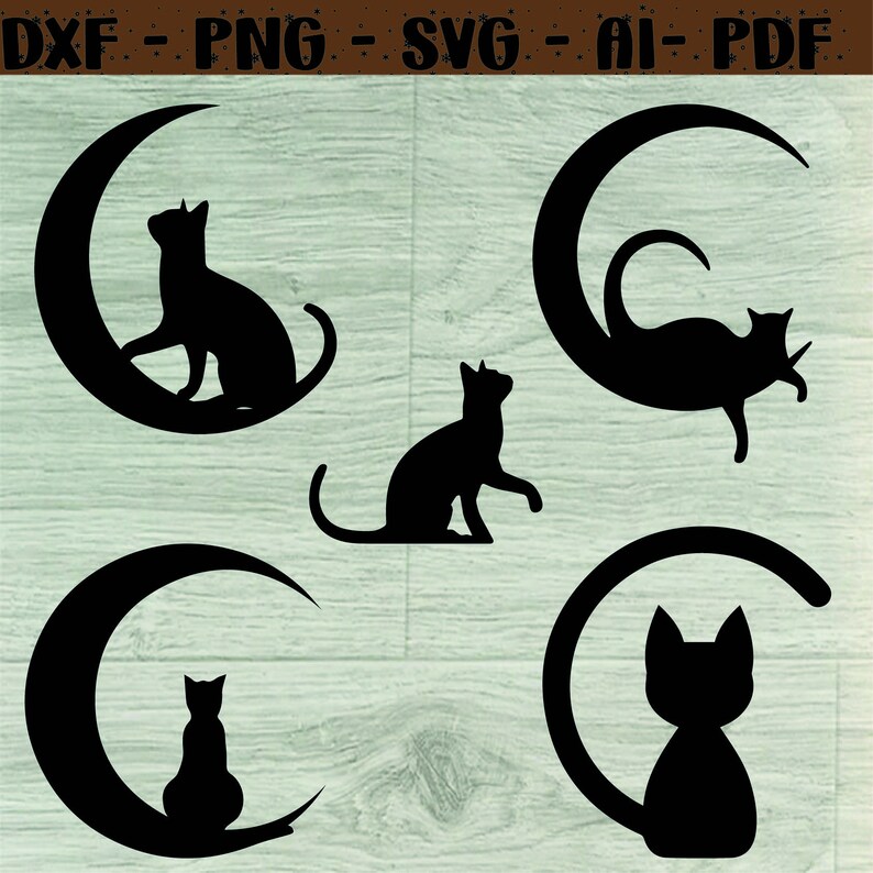 Cute Cat Svg, Cat Face Svg, Cat Svg, Tabby Cat Svg, Kitty Svg, Cat Png ...