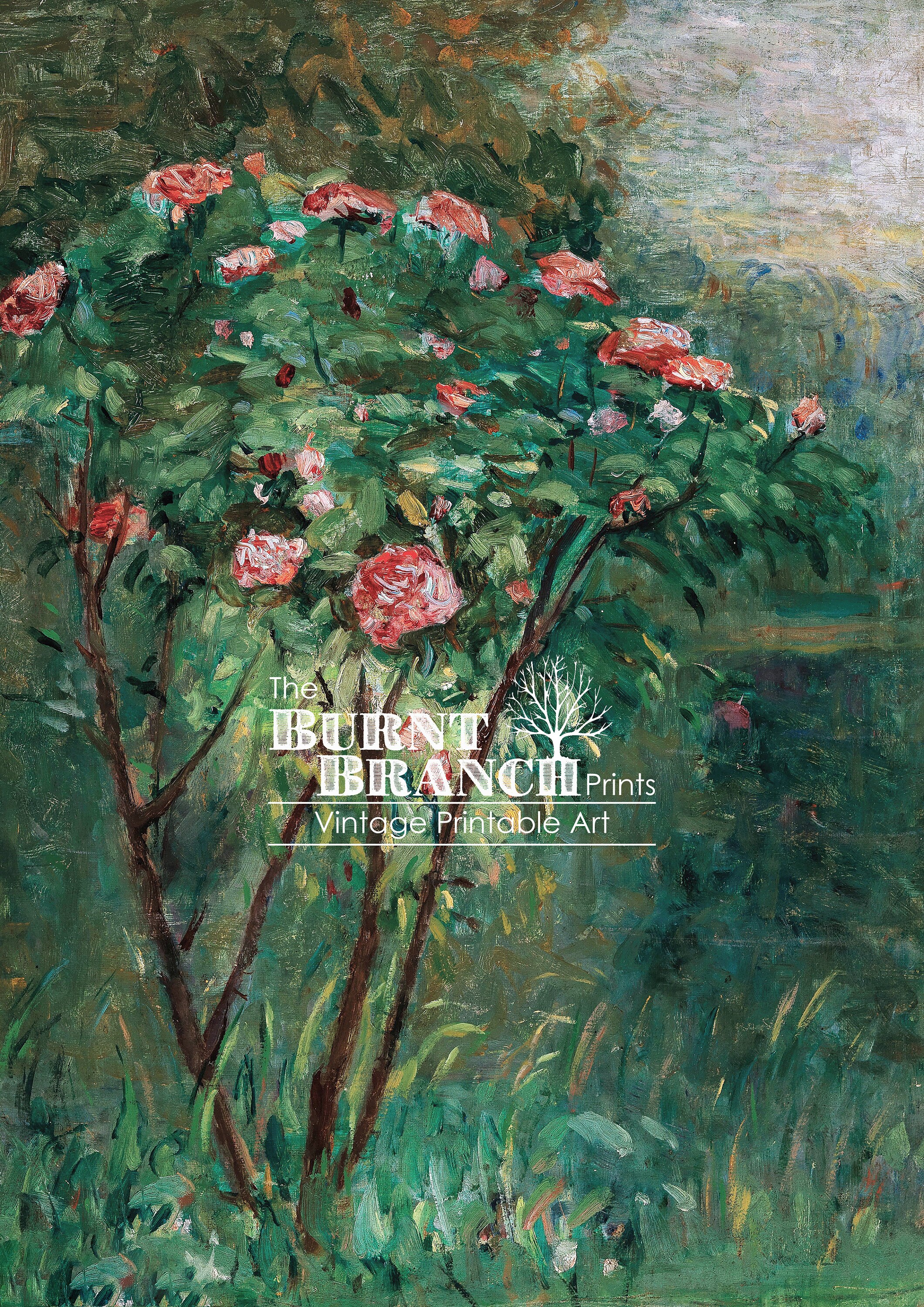 Rose Bush in a Garden - Vintage Printable Art - Instant Digital ...