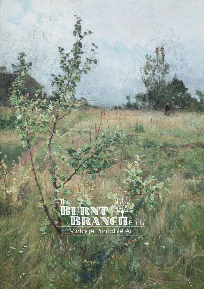 Lone Apple Tree Sapling in a Meadow - Vintage Printable Art - Instant ...