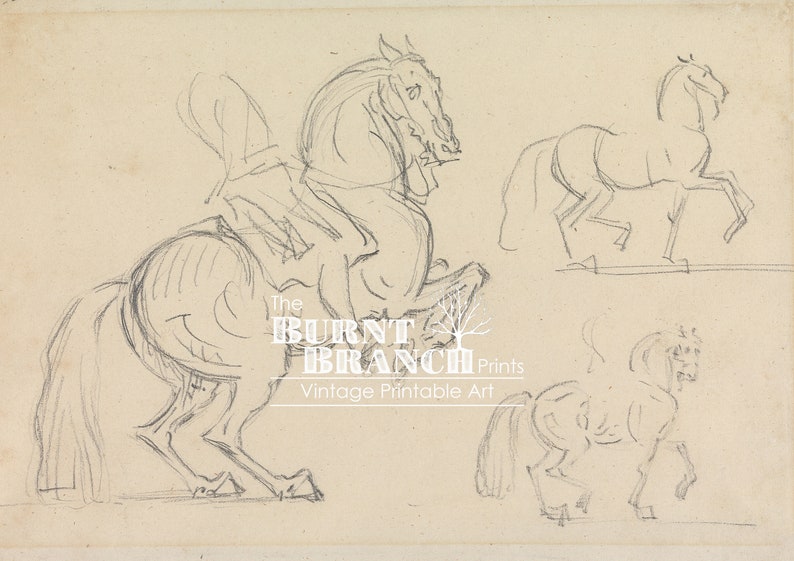 Horse Riding Sketch - Vintage Printable Art - Instant Digital Download ...