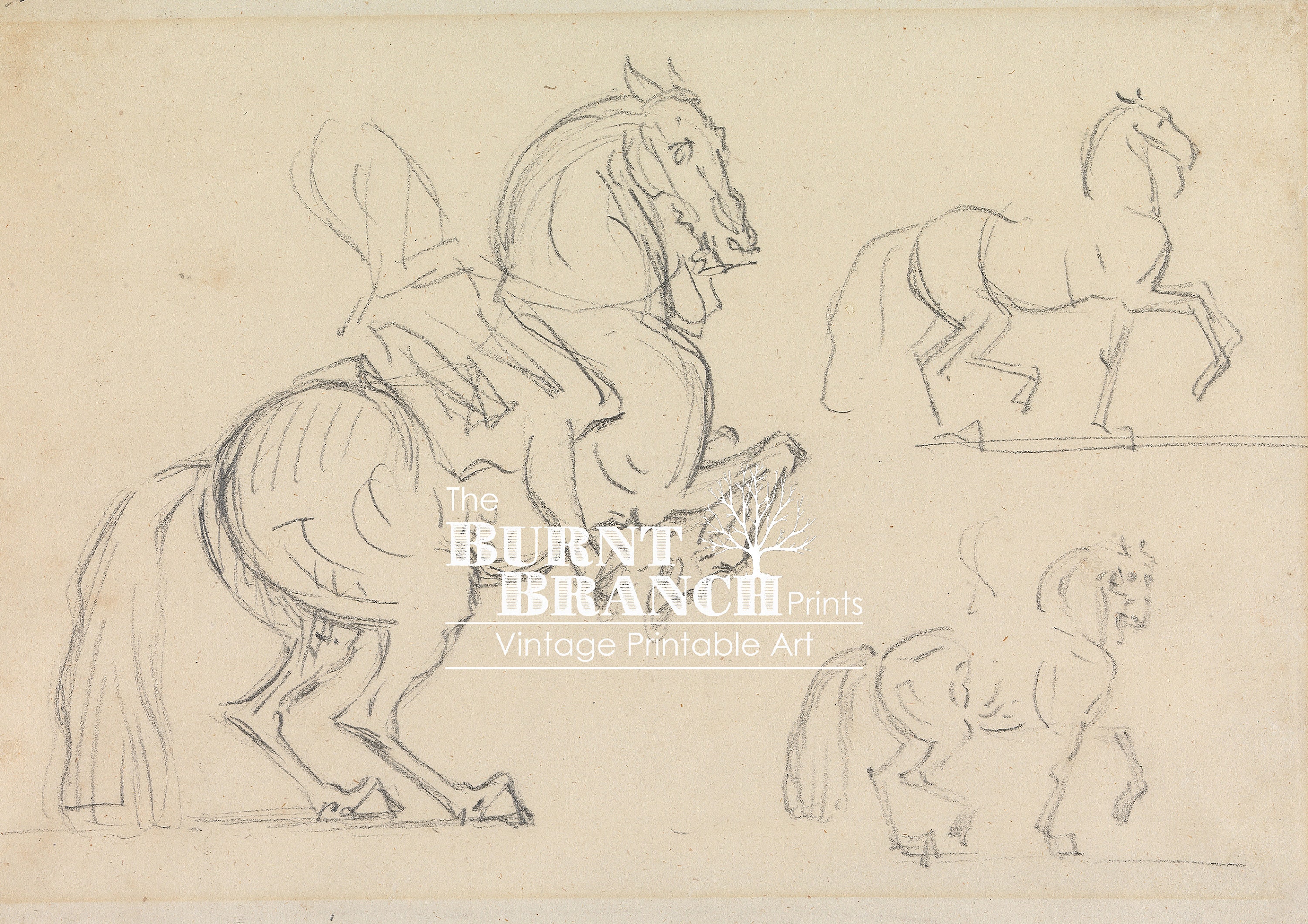 Horse Riding Sketch - Vintage Printable Art - Instant Digital Download ...