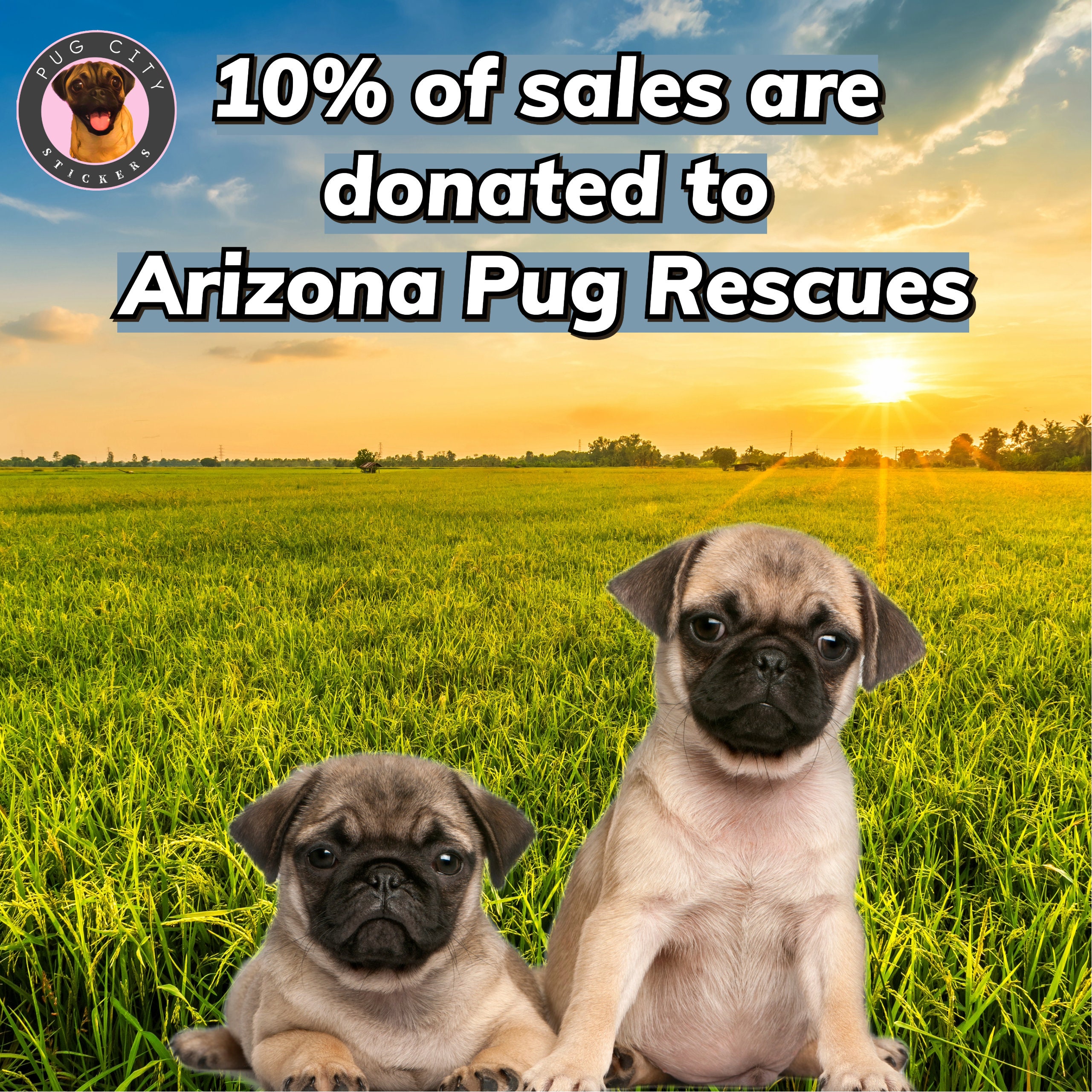 Reusable Sticker Book Unspoken Rizz Sticker Collection 5.8 X 8.25 A5 ...