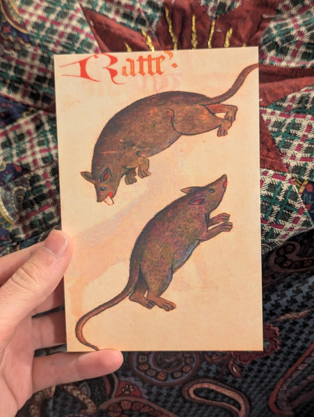 Medieval Rat Postcard: Goofy Vintage Style Art Print - Etsy