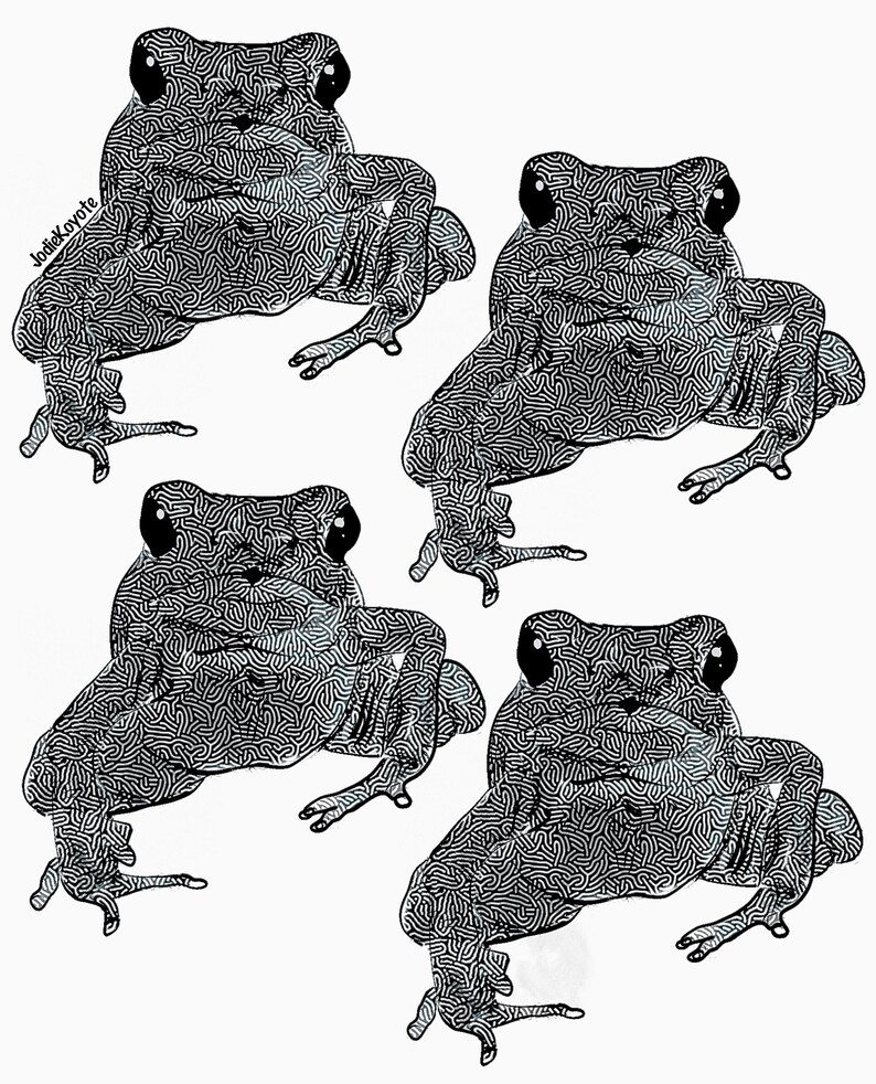 Rainbow Tree Frog Holographic Waterproof Sticker - Etsy