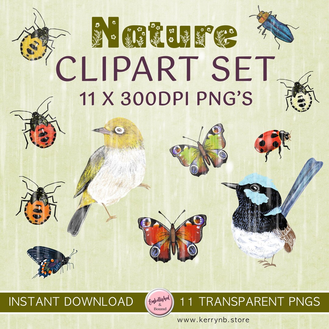Nature Clipart Set, Scaleable Birds, Bugs & Butterflies Art PNG Set 11 ...