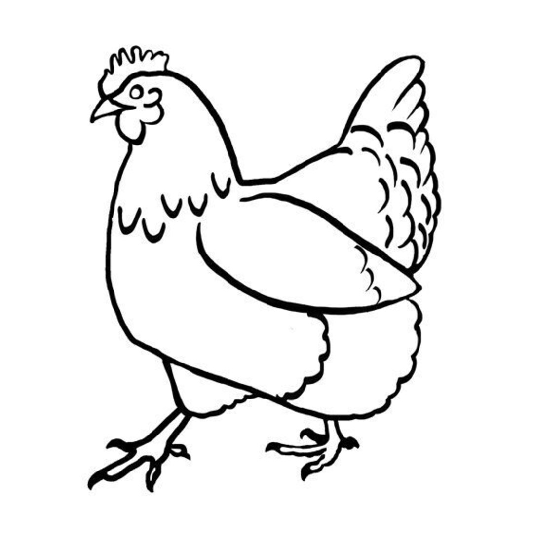 Chicken Design #1 - Etsy