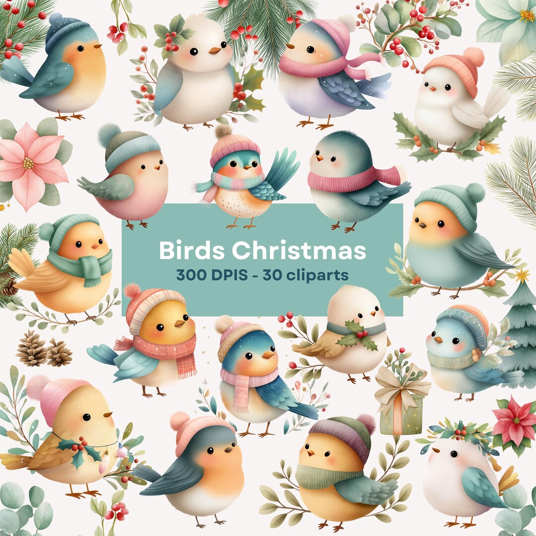 Christmas Bird Clipart | Cute Winter Watercolor PNG | Holiday Animals ...