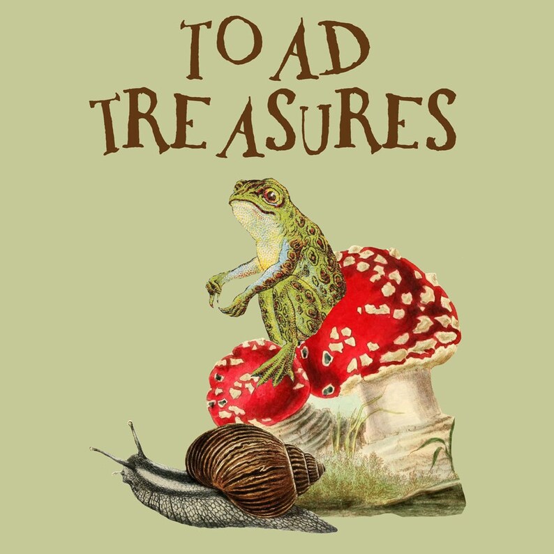 Toad Treasures Crow Confetti Cottagecore Mystery Scoop - Etsy