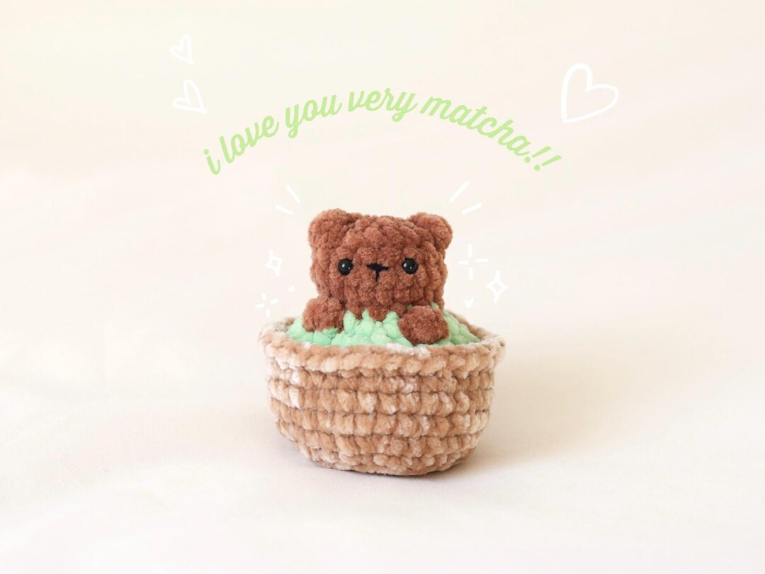 Matcha Bear No-sew Crochet Pattern - Etsy