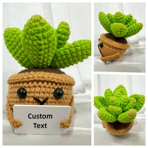 Emotional Support Plant,positive Cactus/succulent,handmade Customized ...