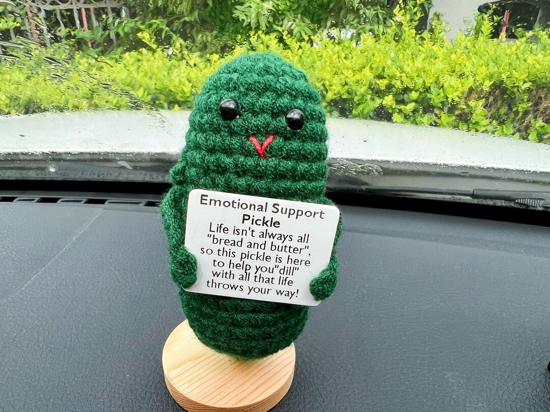 You Are a Big Dill Crochet Pickle Car Dashboard Decor-handmade Car ...
