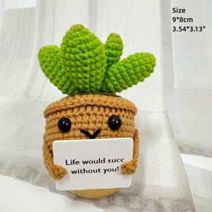 Emotional Support Plant,positive Cactus/succulent,handmade Customized ...