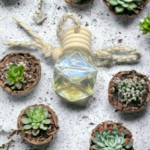 Hanging Air Freshener Diffuser - Etsy