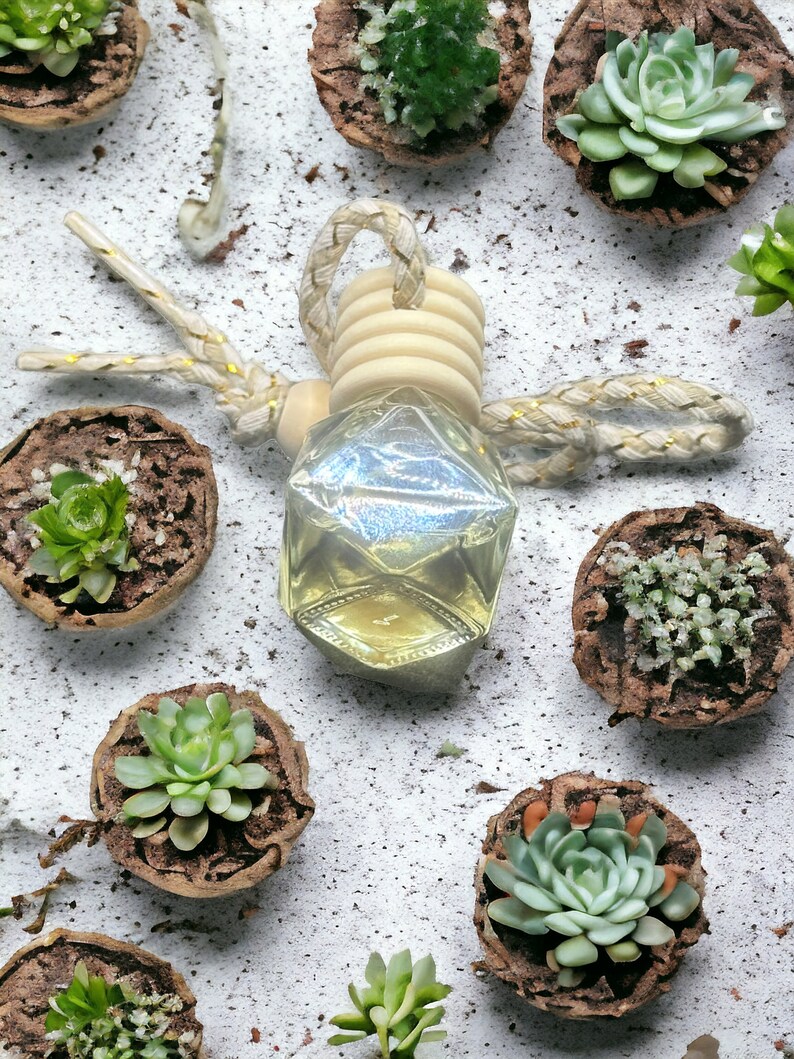 Hanging Air Freshener Diffuser - Etsy