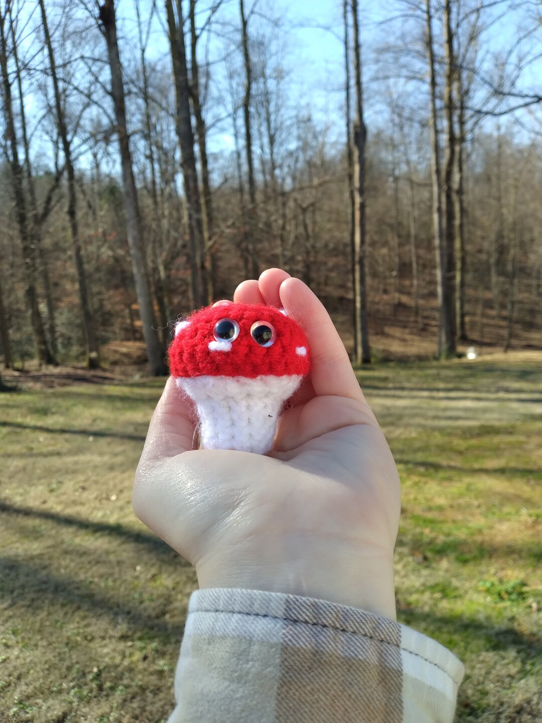 Mini Mushroom Crochet Mushroom Toy - Etsy