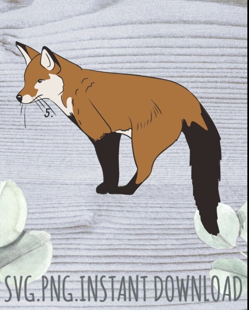 Fox Cottage Core Svg and Png Instant Download - Etsy